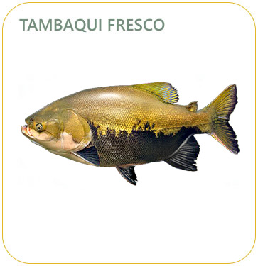 Tambaqui - Embalagens e Pesos - Zaltana Pescados